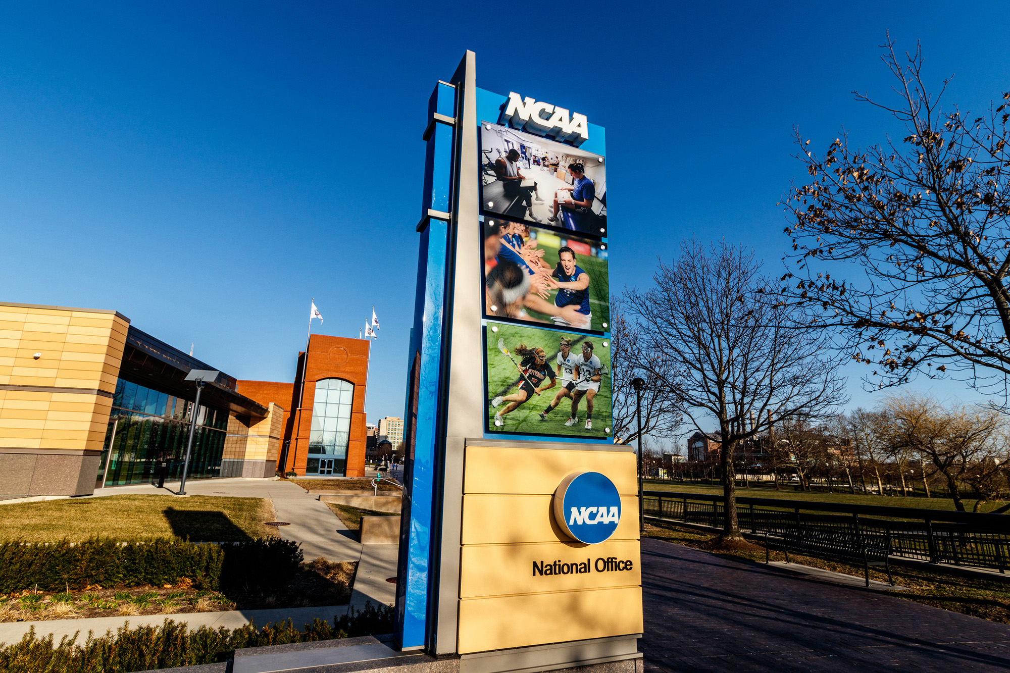What the recent antitrust settlement means for the NCAA | Penn GSE